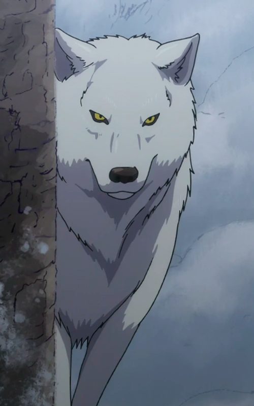 50 Best Human Wolf Hybrid Characters in Anime