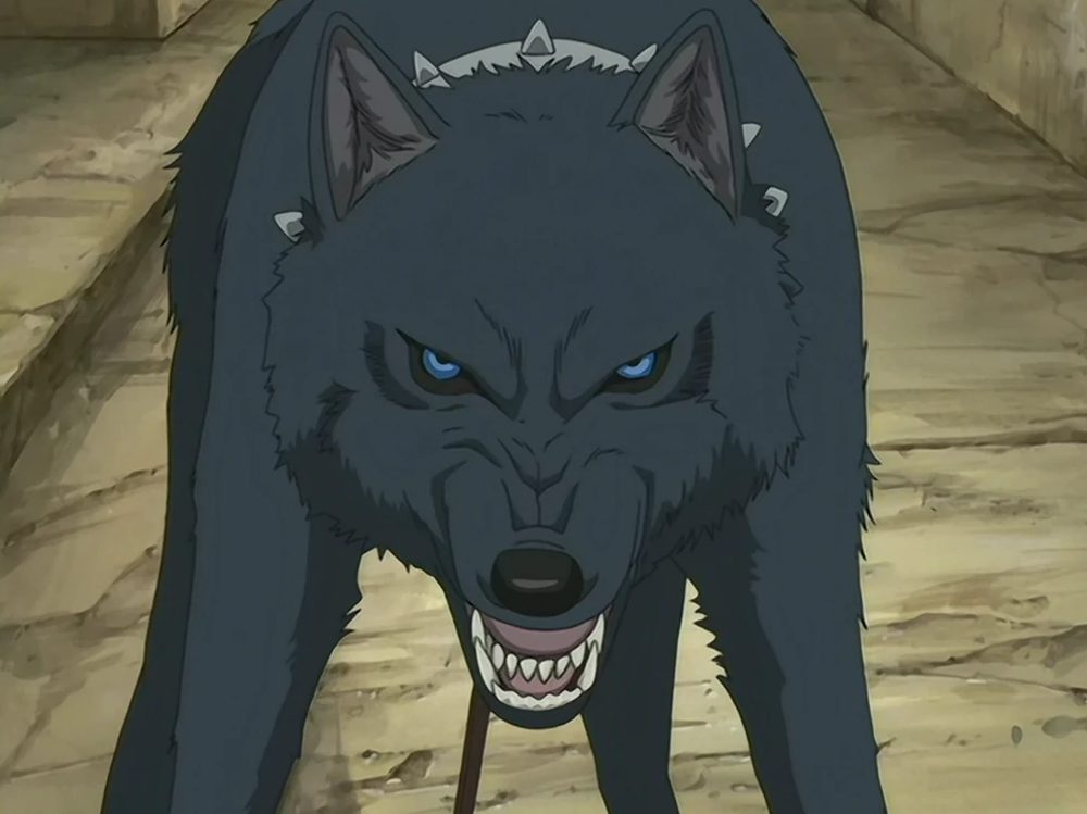50 Best Human Wolf Hybrid Characters in Anime
