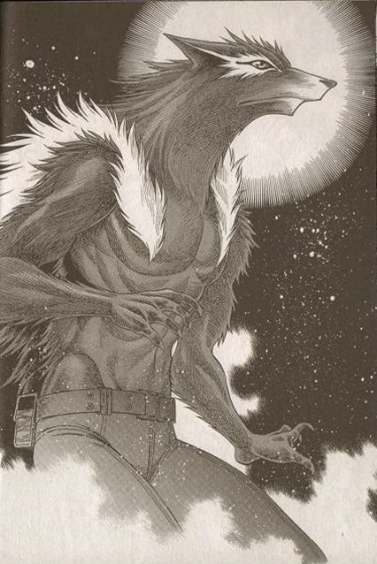 50 Best Human Wolf Hybrid Characters in Anime