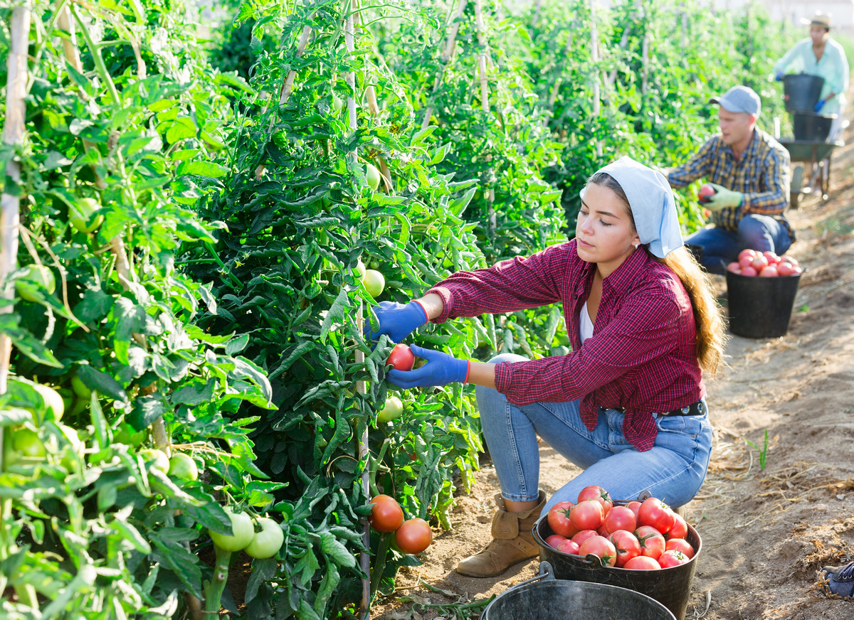 35 Stunning Farm Girl Clothing Ideas 2023 - Hood MWR